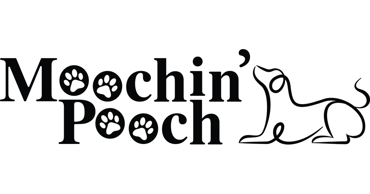 Meaty Treats – Moochin' Pooch