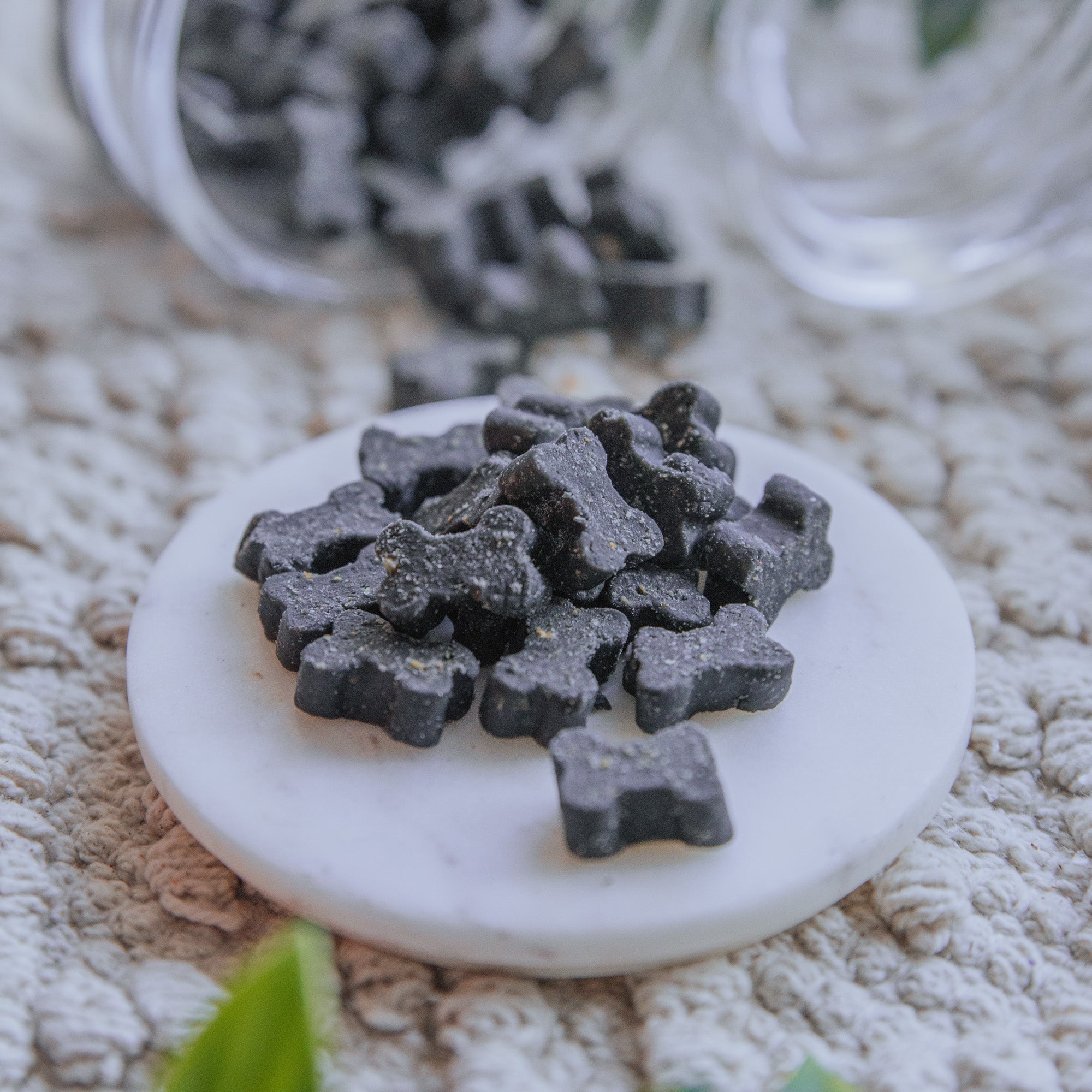 Venison Bones (25g | 100g) – Moochin' Pooch