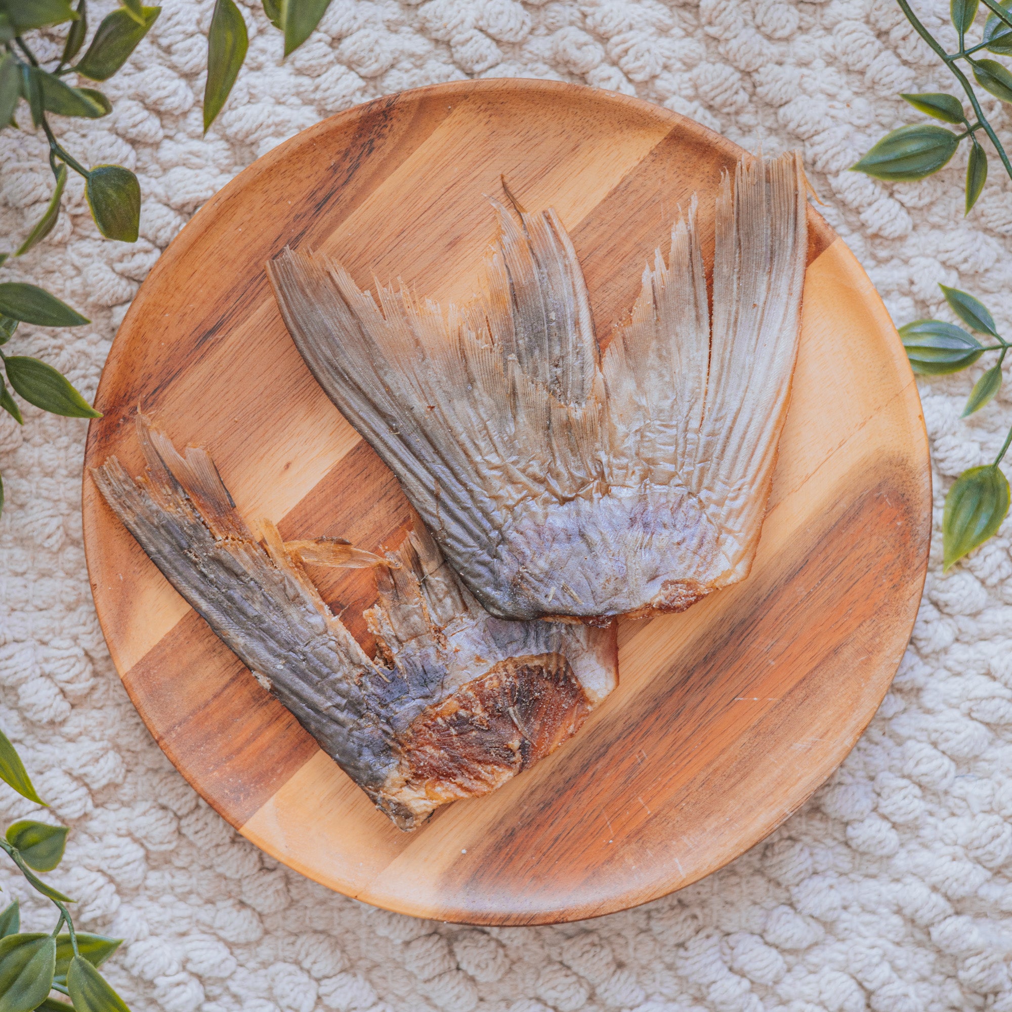 Pangasius Fish Tail – Moochin' Pooch